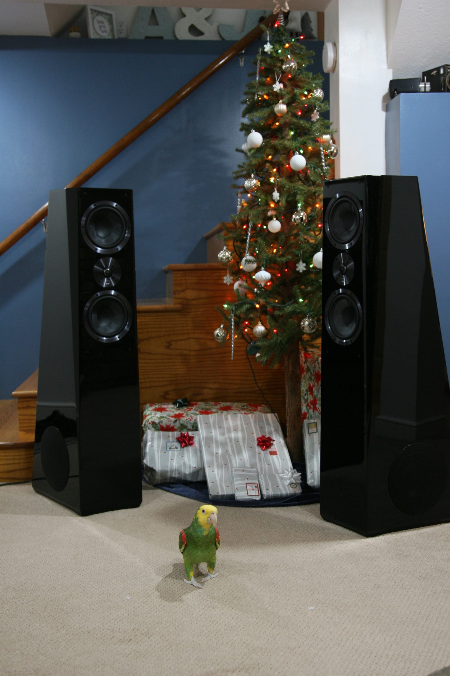 SVS Ultra Tower Review Pt 1 - Hifi Chicken