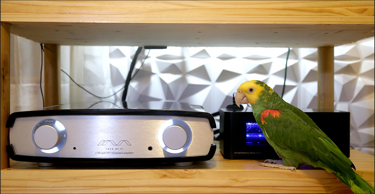 (Review) Java Hifi Single Shot Integrated Amp – High Energy High ...