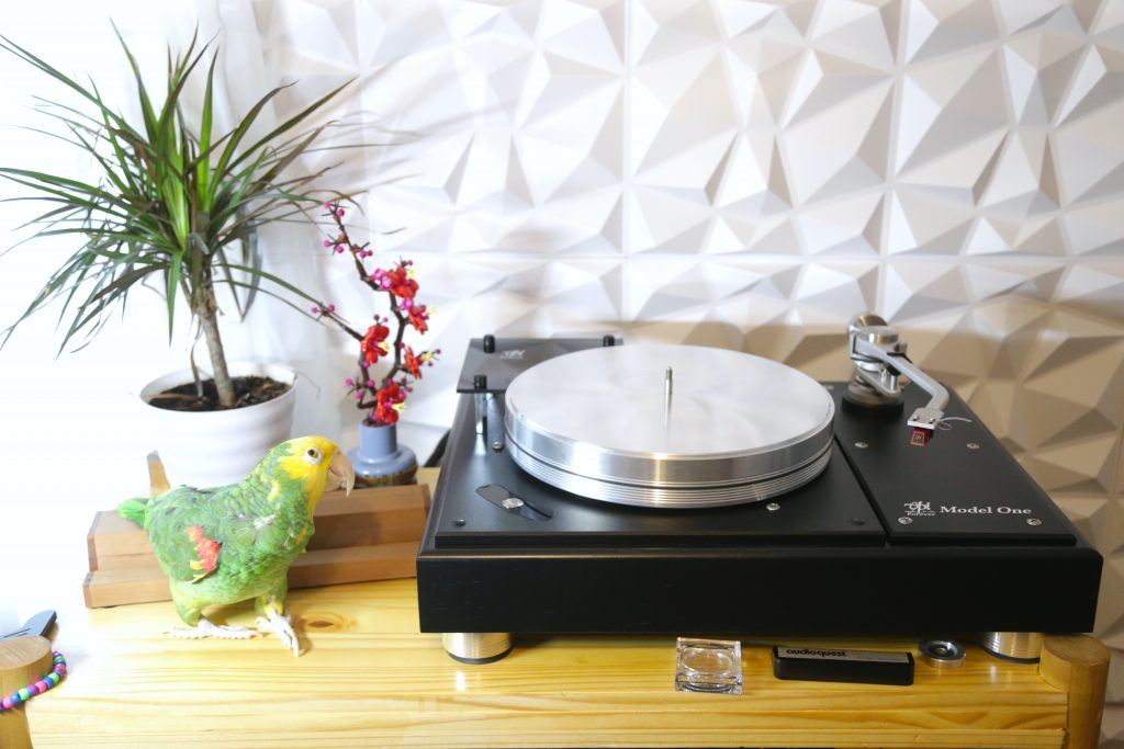 (Review) VPI Forever Model 1 – A Turntable Built to Last a Lifetime ...
